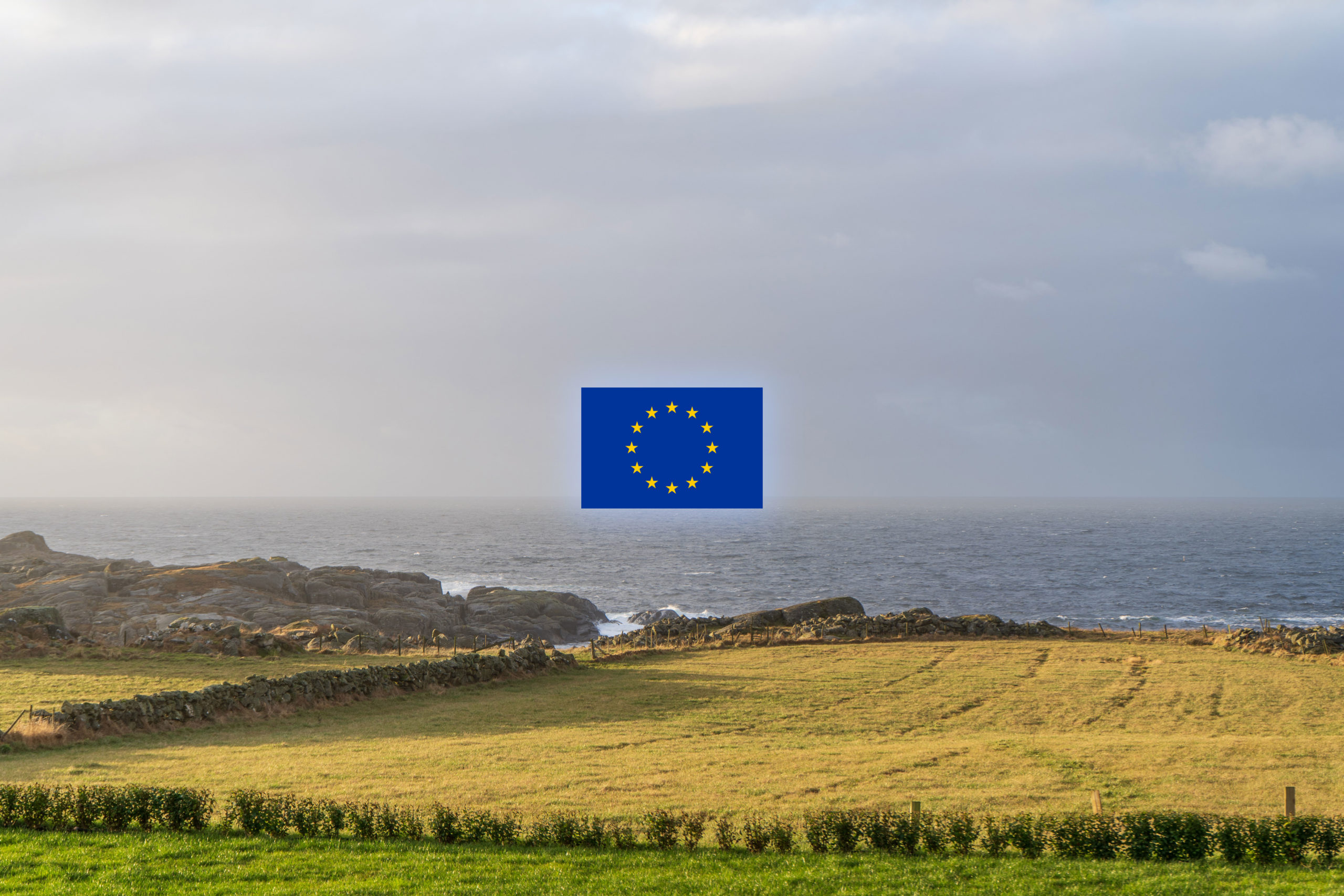 Alginor’s EU project AORTA 2 finished today — Alginor