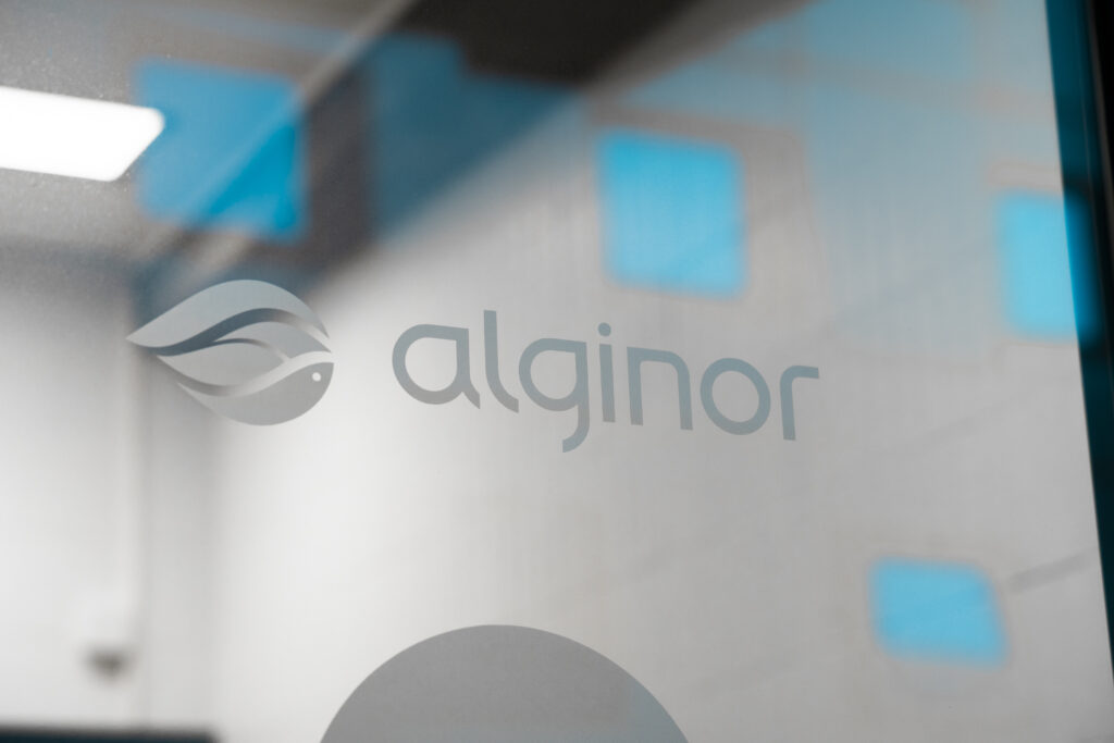 NOK 400 million private placement — Alginor